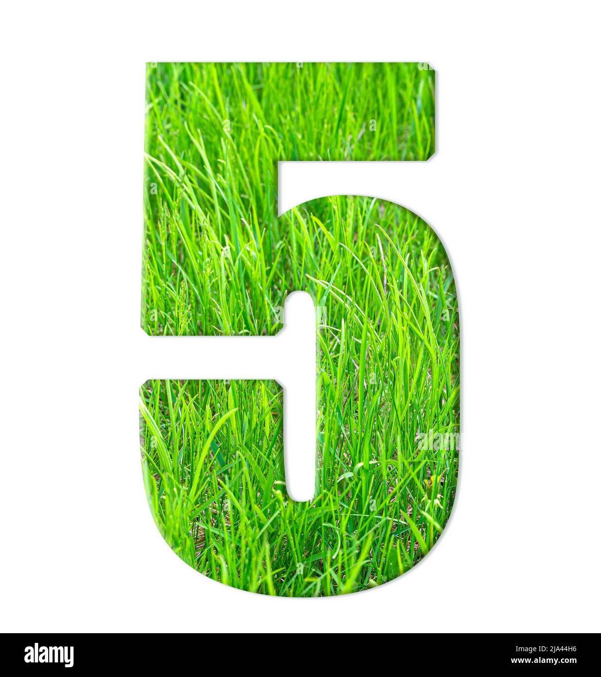 Five with the texture of green juicy grass isolated on a white ...