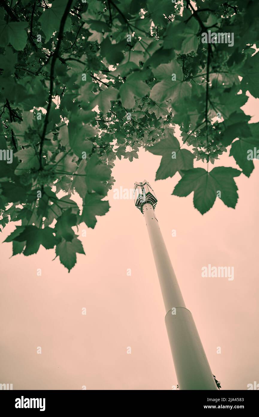 Phone mast tree hi-res stock photography and images - Alamy