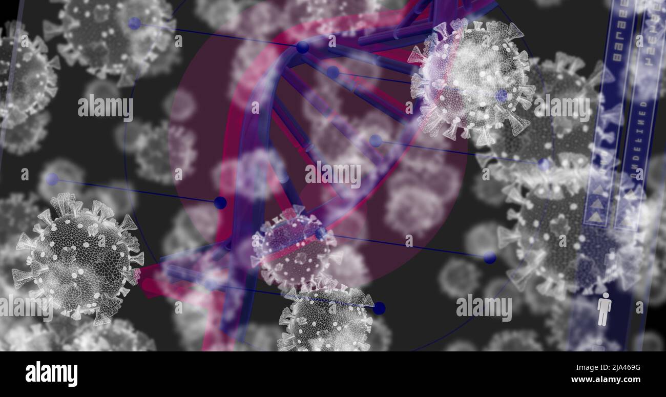 Image of virus cells over dna strand Stock Photo - Alamy