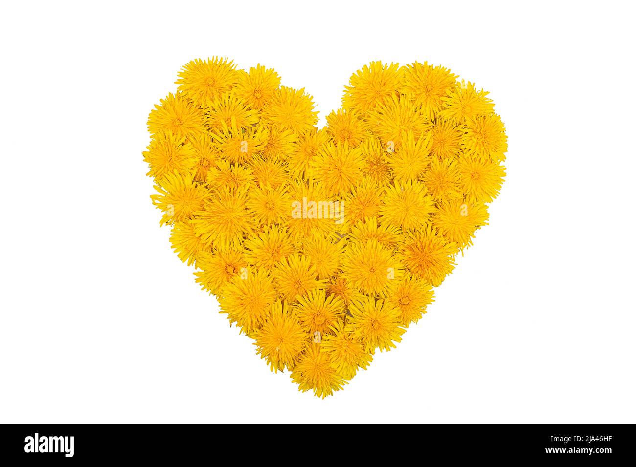 Heart of dandelion flowers hi-res stock photography and images - Alamy