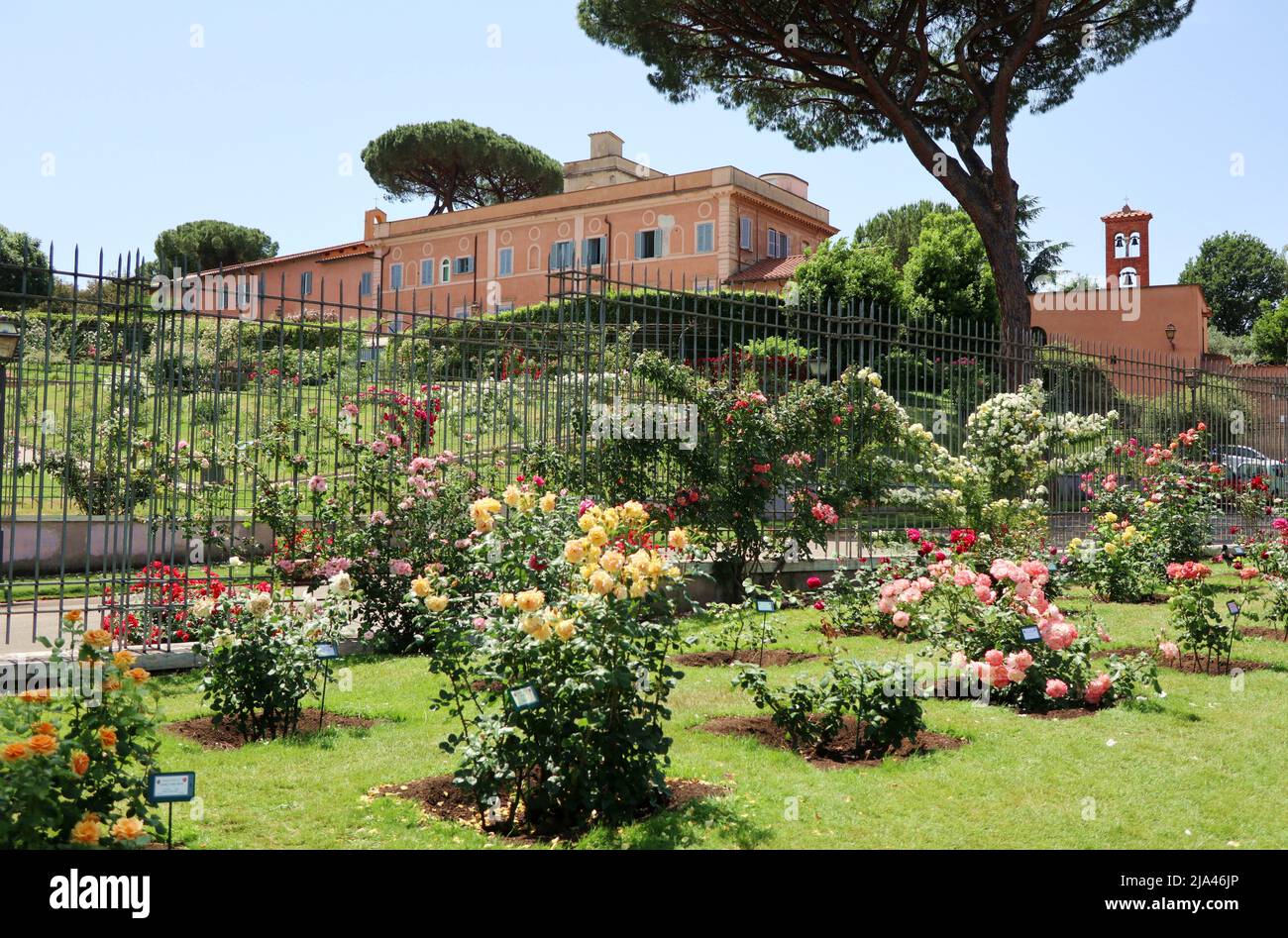 A shot of Roseto di Roma, the Municipal Rose Garden, Rome, May 24 2022 ...