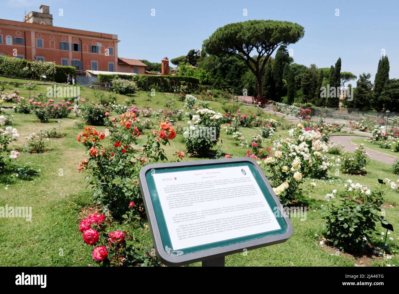 A view of Roseto di Roma, the Municipal Rose Garden, Rome, May 24 2022 ...