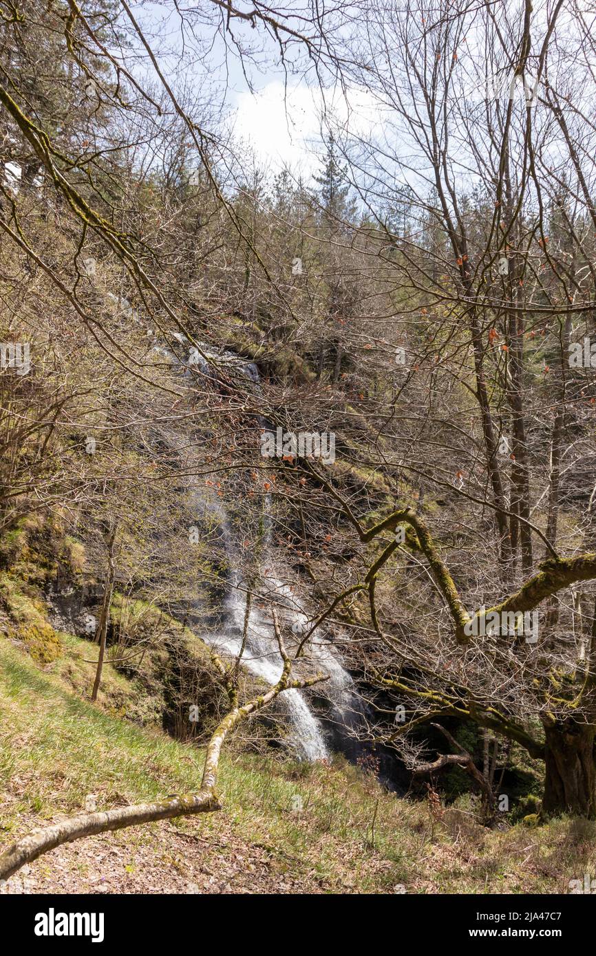 Waterfall among trees hi-res stock photography and images - Alamy