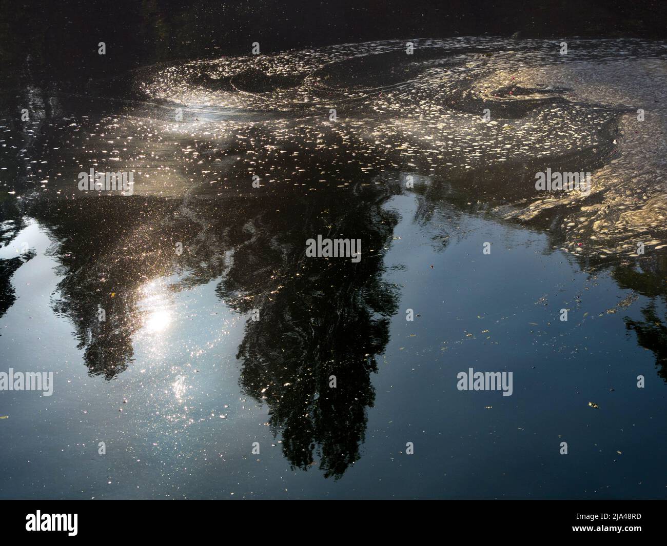 Blue night sky river looking down hi-res stock photography and images ...