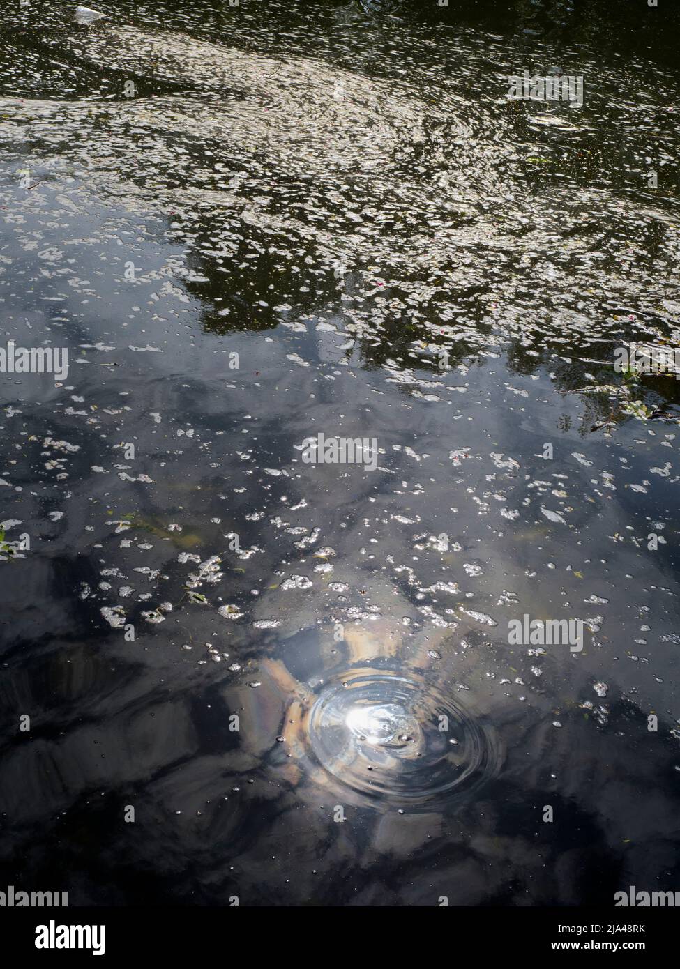 Blue night sky river looking down hi-res stock photography and images ...