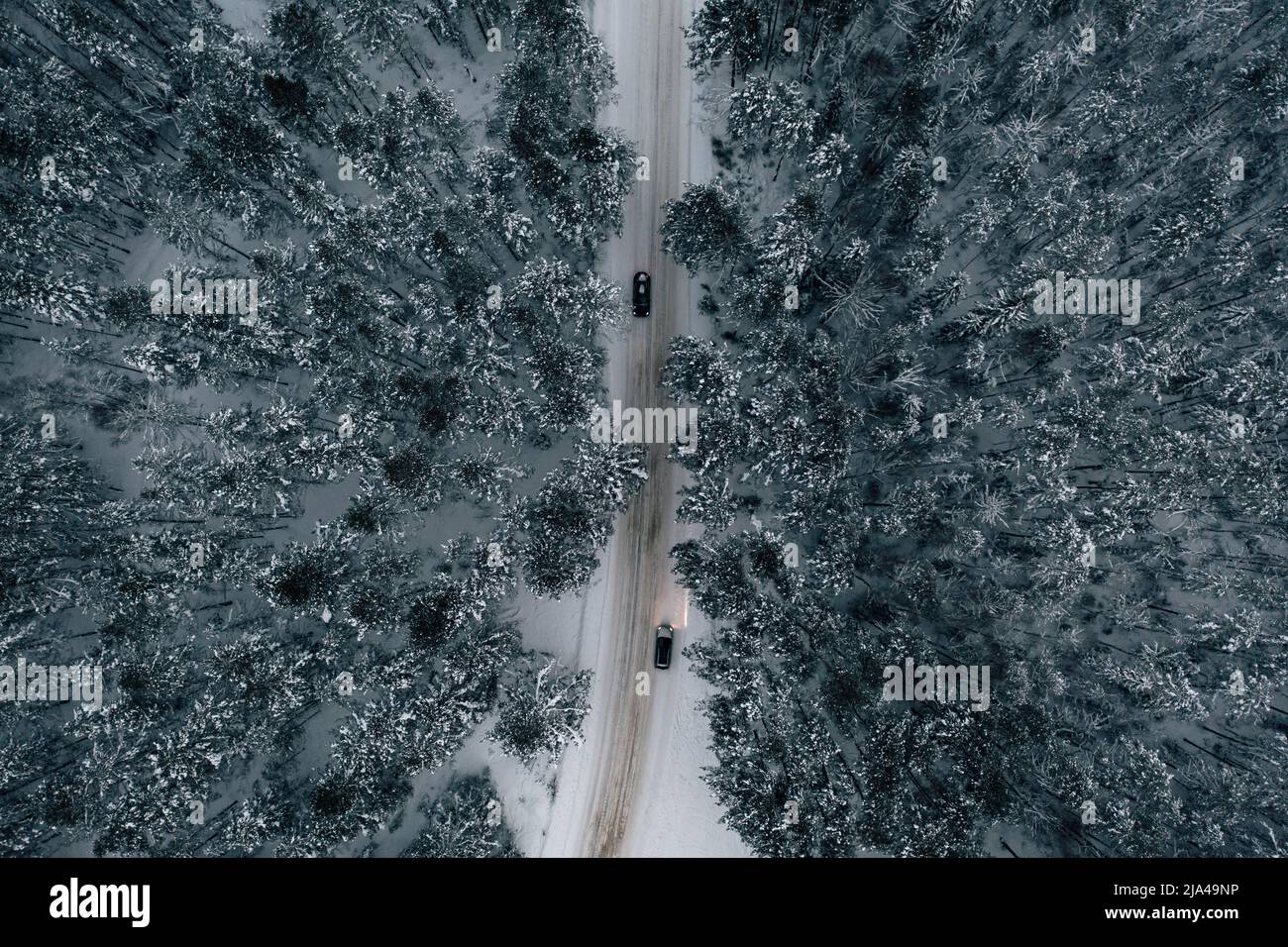 Night time aerial view of snowy road in pine tree forest in winter ...