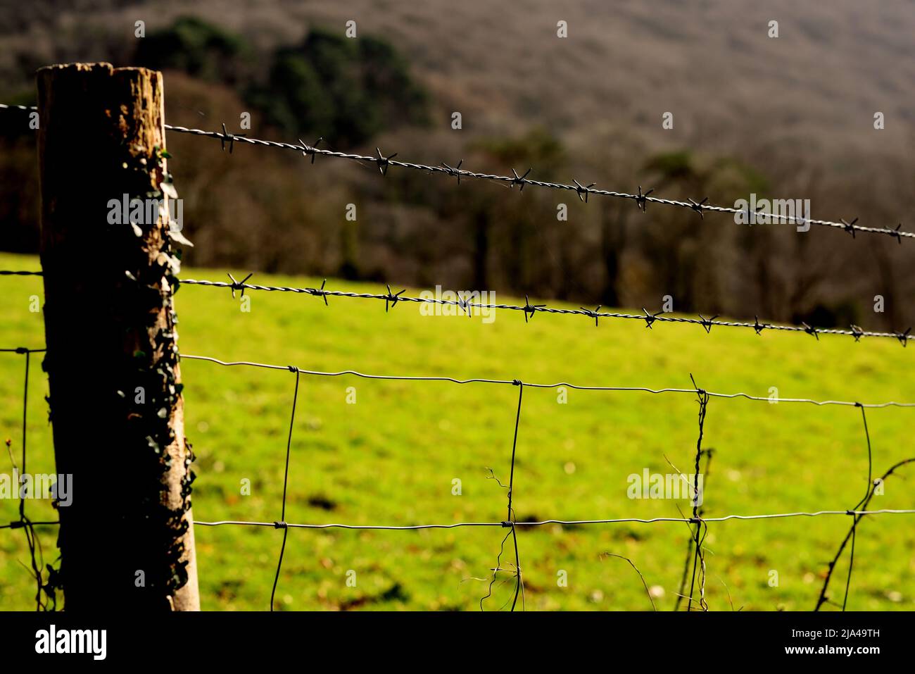 Barbed wire and stock fencing Stock Photo - Alamy
