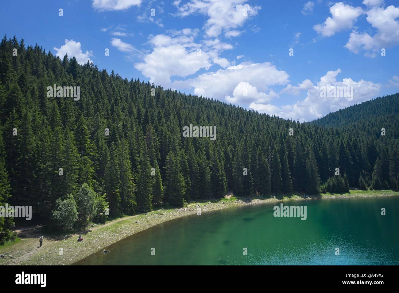 Aerial view of landscape with lake and coniferous forest in Montenegro ...
