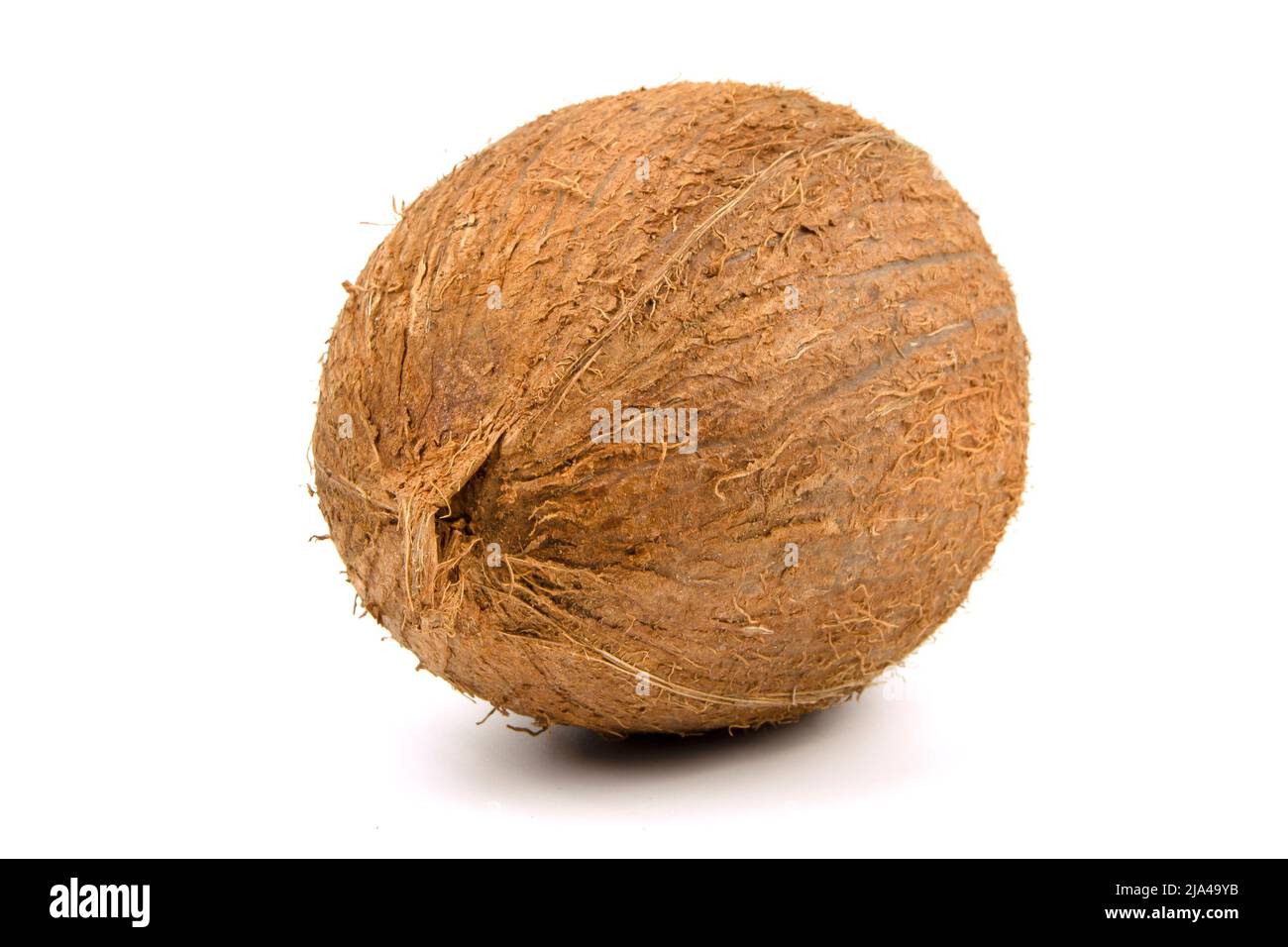 A Single Whole fresh Coconut isolated on a white background Stock Photo ...