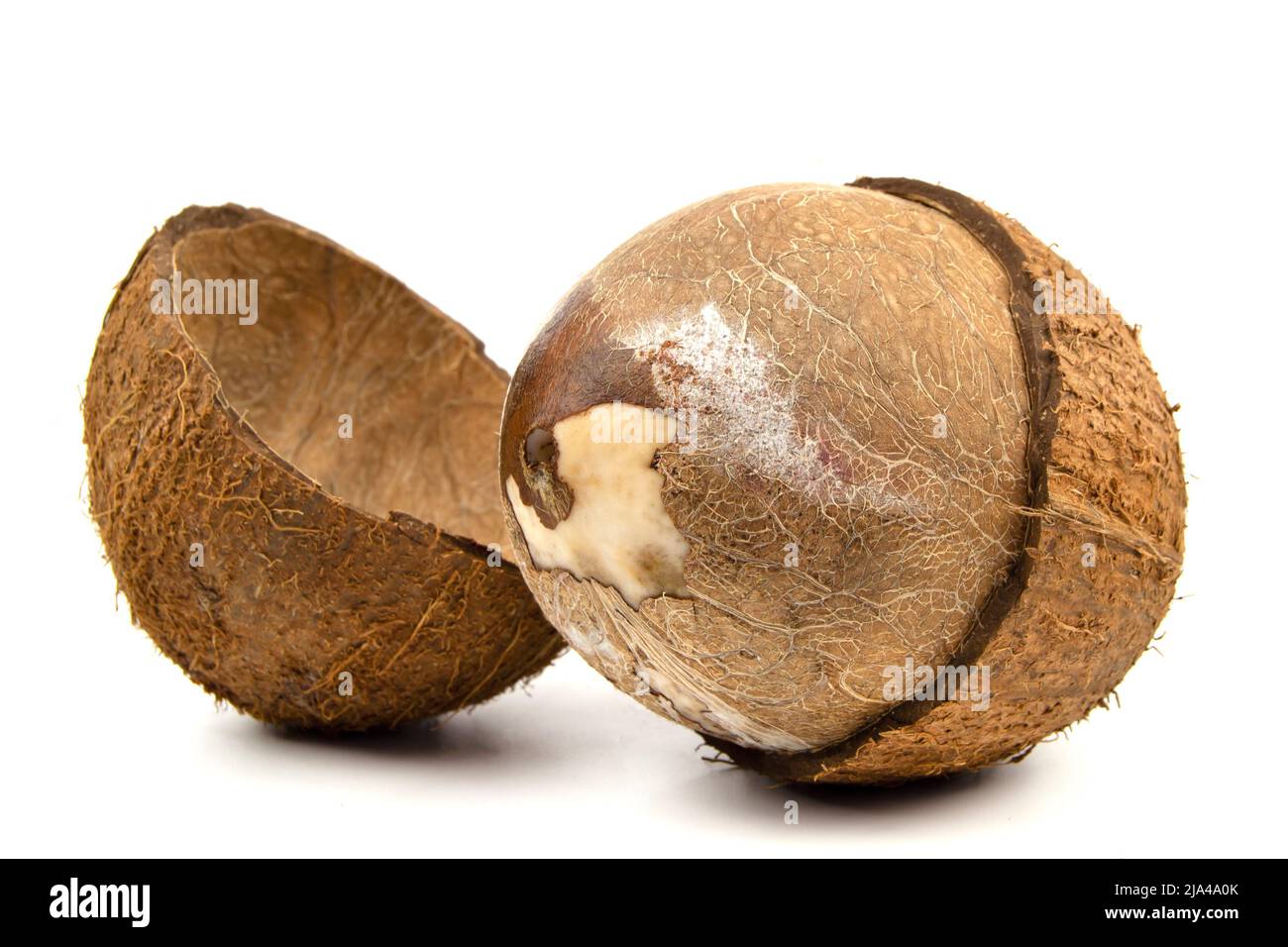 coconut shell split in half isolated on a white background Stock Photo ...