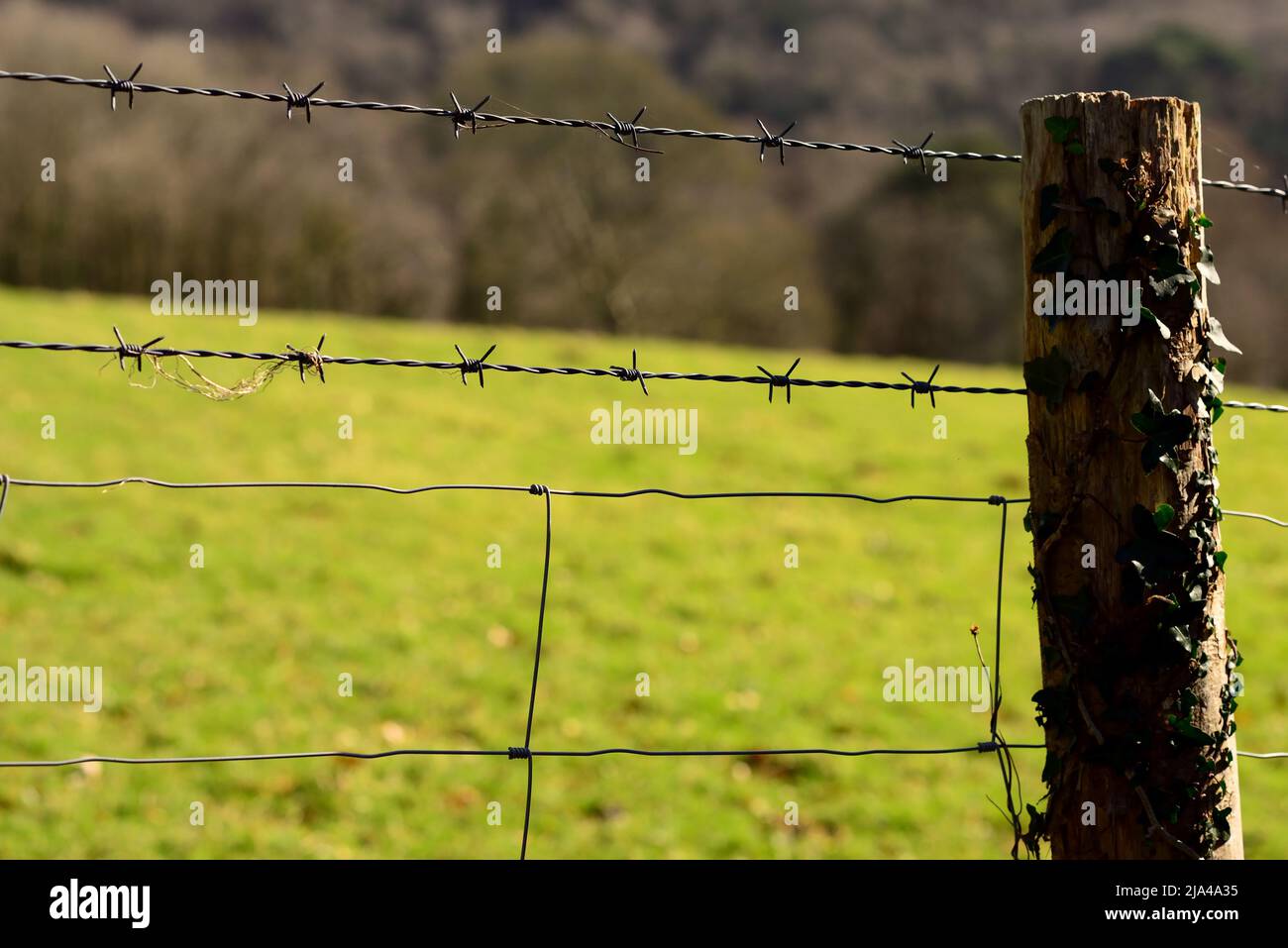 Barbed wire and stock fencing Stock Photo - Alamy