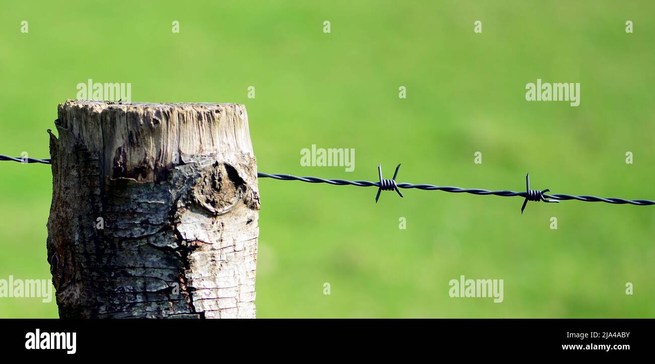 Barbed wire and a fence post Stock Photo - Alamy