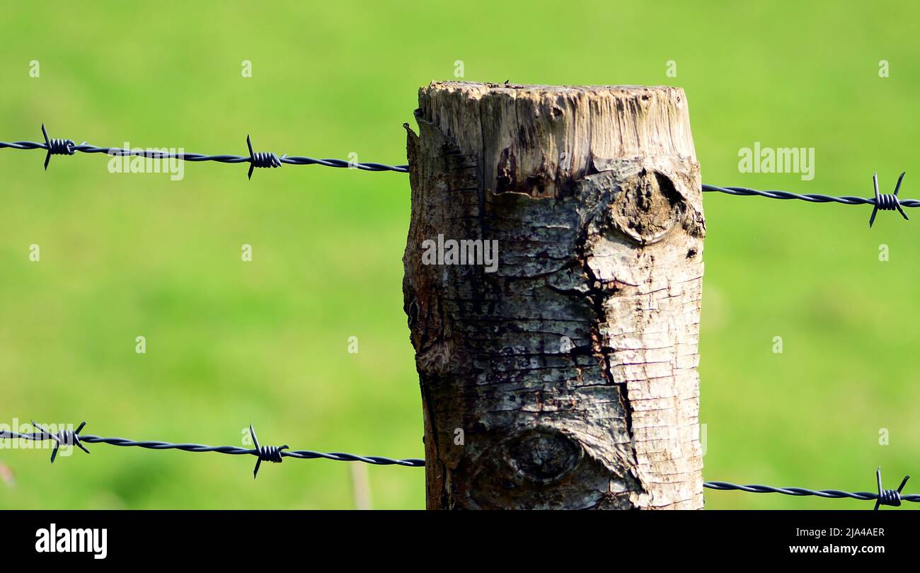 Barbed wire and a fence post Stock Photo - Alamy