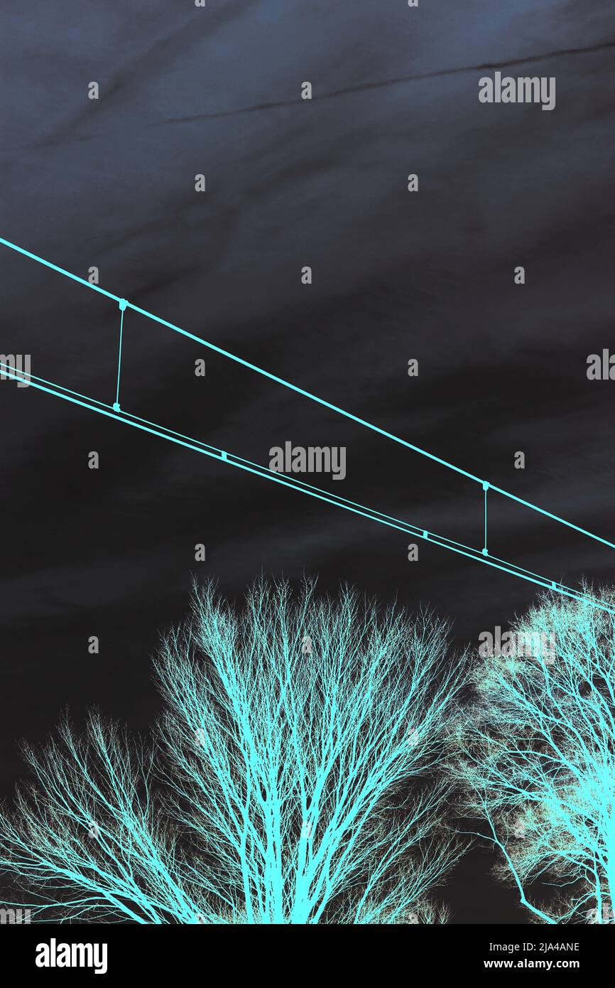 Overhead power lines hanging over a tree Stock Photo - Alamy