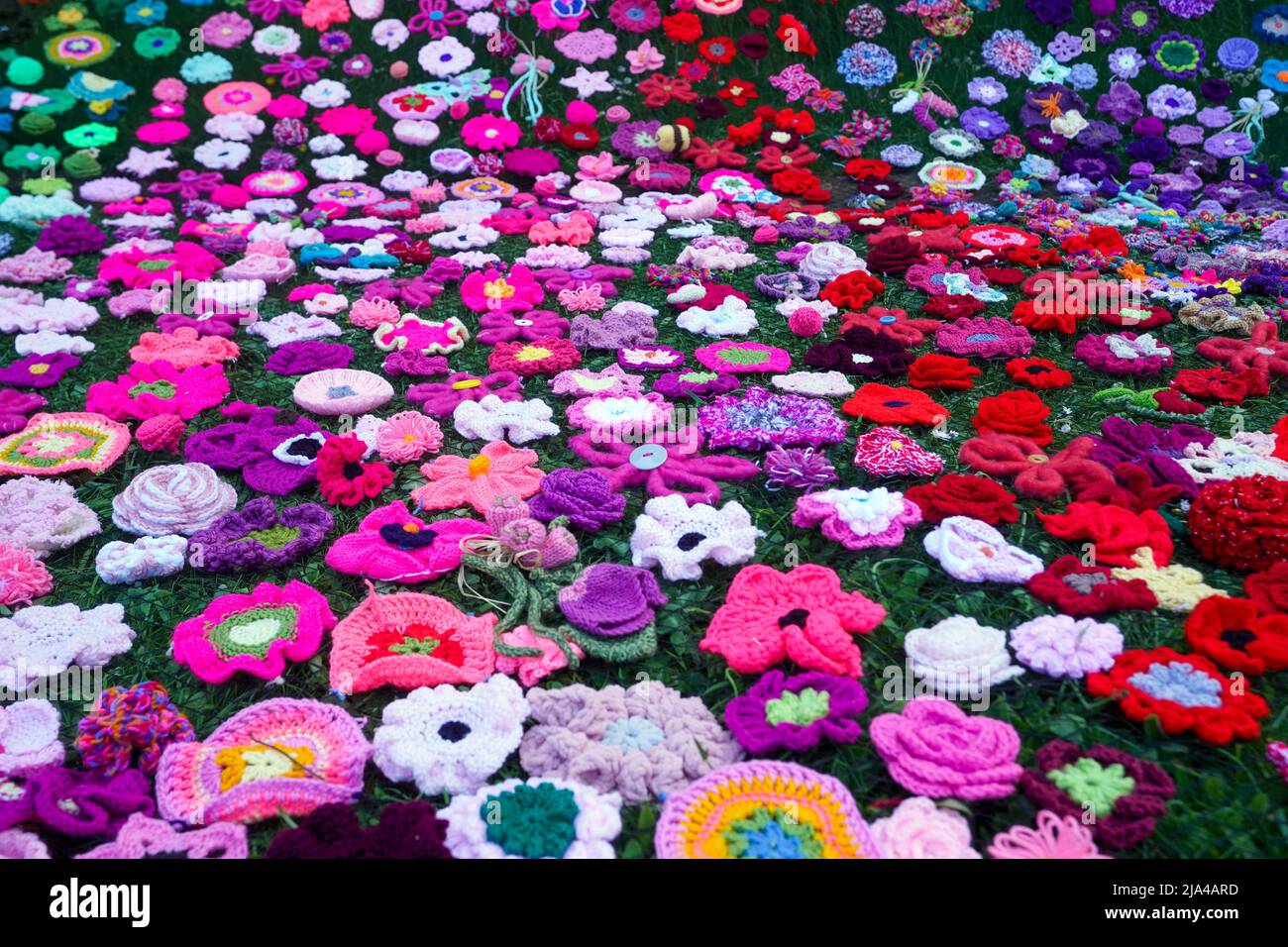 A cascade of more than 4,300 woolly flowers draped from All Saints ...