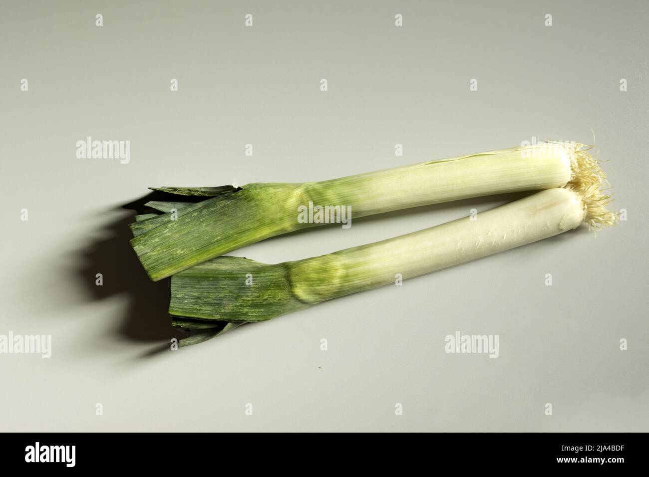 Two leeks isolated on gray background, Allium ampeloprasum, porrum ...