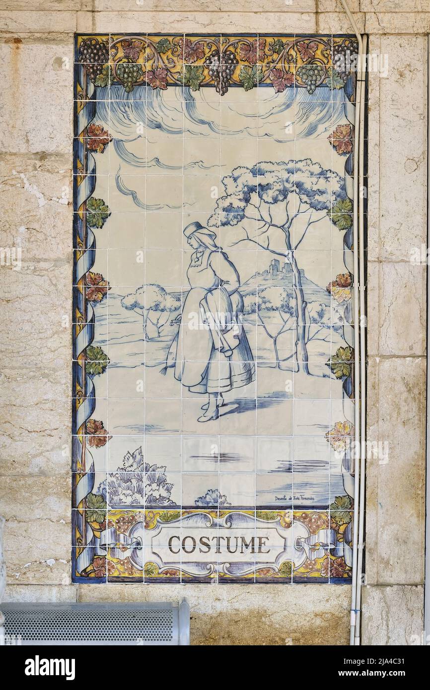 azulejos panel representing monuments and country scenes on the walls ...