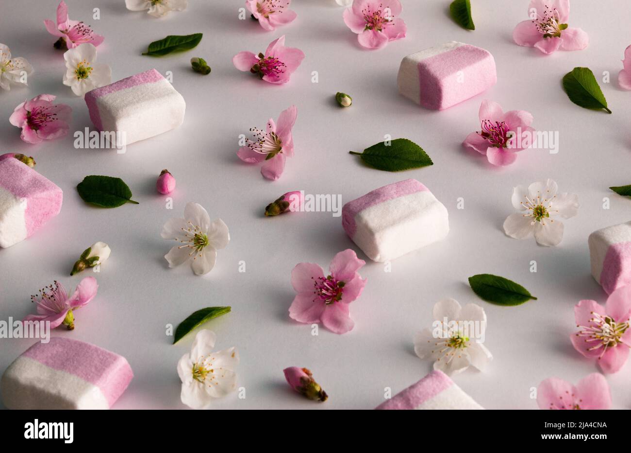Creative pattern layout made of various spring flowers, leaves and ...