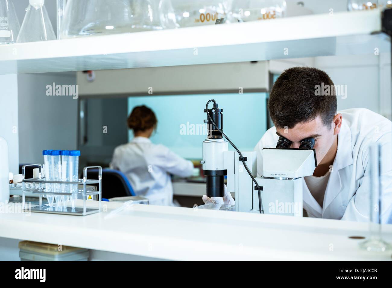 Scientists working in the lab, looking throught the microscope and ...