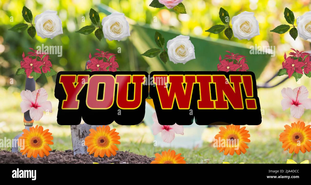 Image of you win on flower background Stock Photo - Alamy