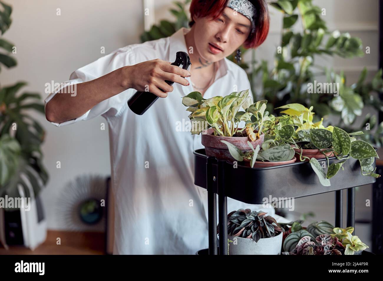 Japanese man watering plants hi-res stock photography and images - Alamy