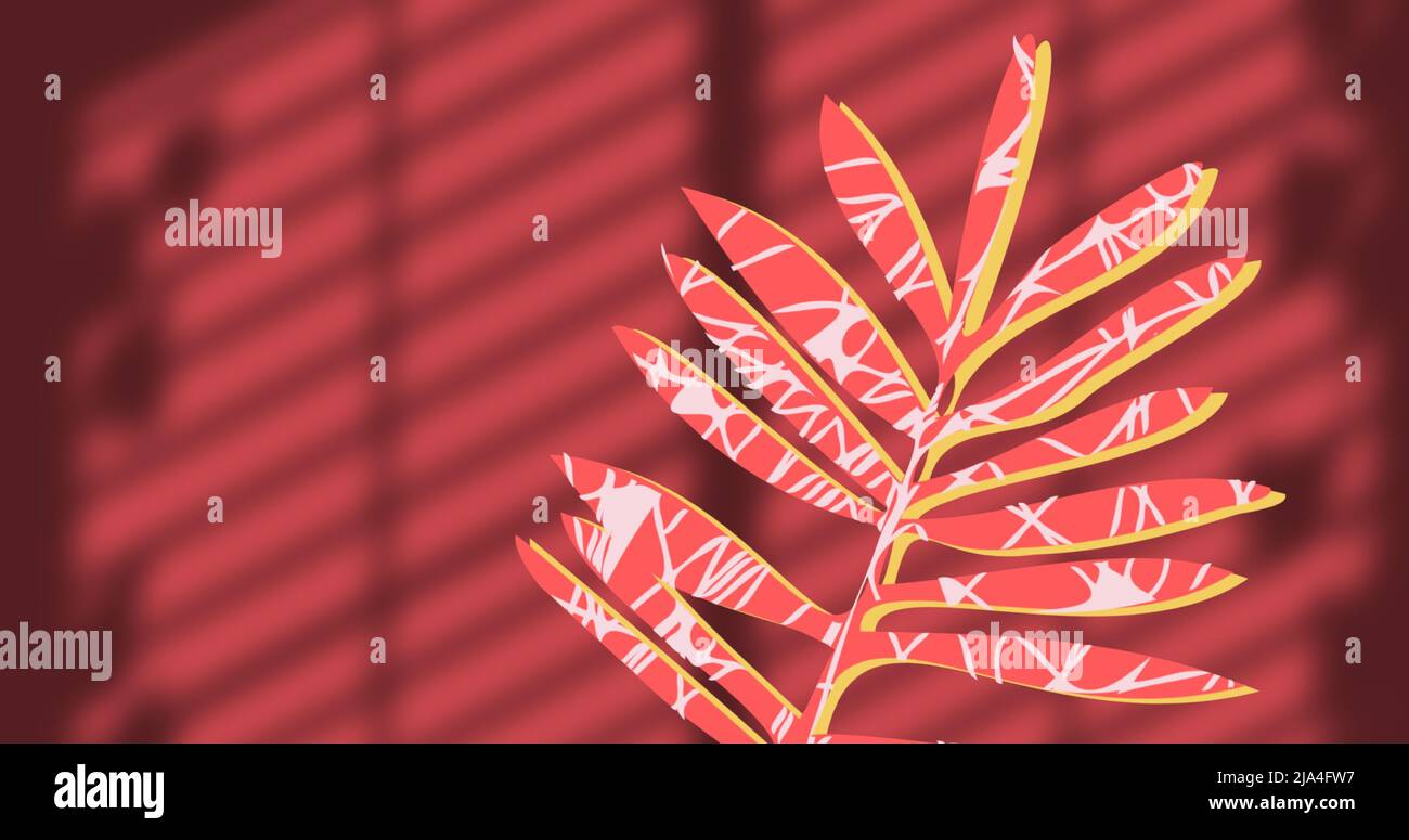 Image of plant over leaves and window shadow on red background Stock ...