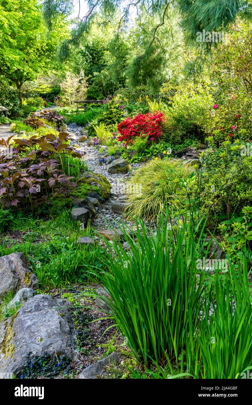 A scenic garden landscape in Seatac, Washington Stock Photo - Alamy