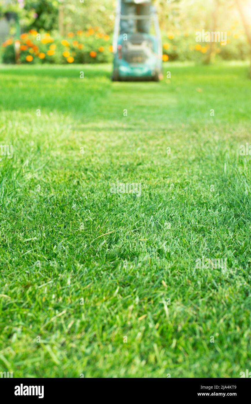 Man pushing lawn mower. Lawn care background, place for text Stock ...