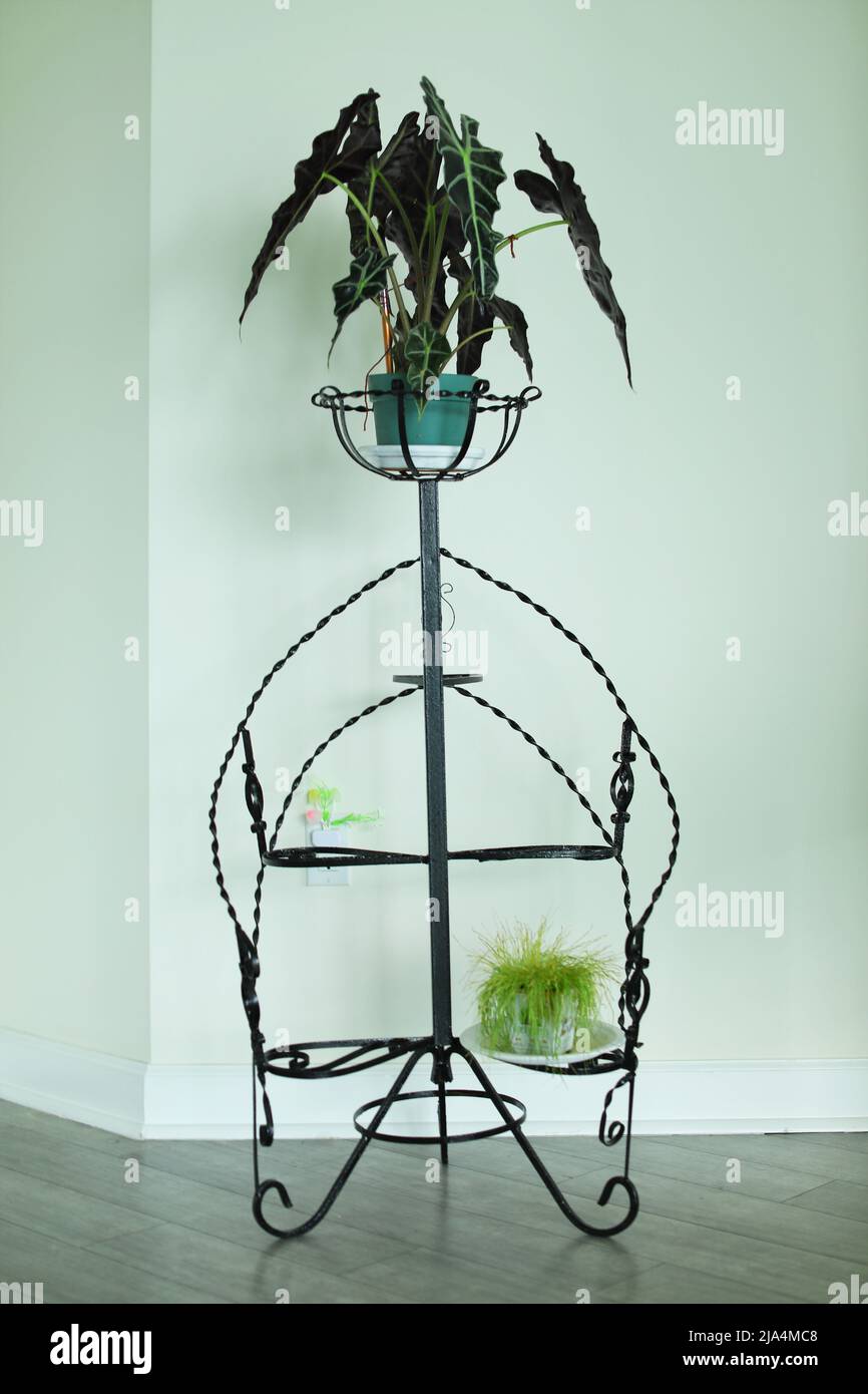 Handmade plant stand crafty craft room decoration Stock Photo - Alamy