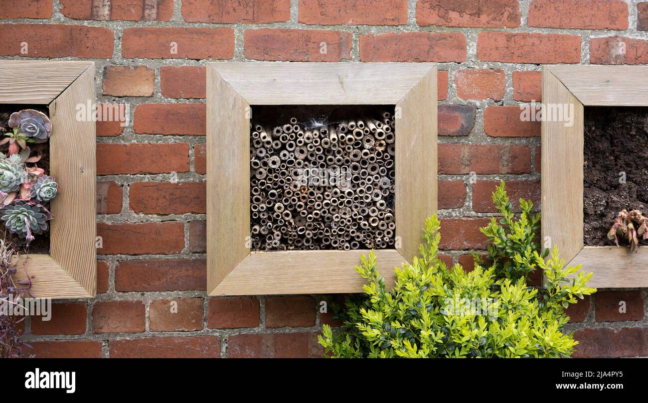 Sustainable insect house hi-res stock photography and images - Alamy