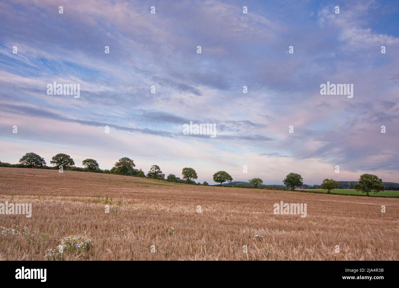 Outstanding evening sky, with magical purple and pink clouds ...