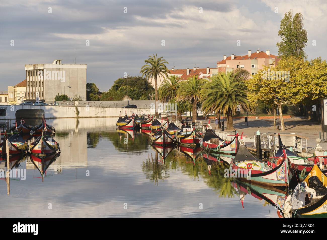 popular with tourists colorful Moliceiros boat moored along a canal in ...