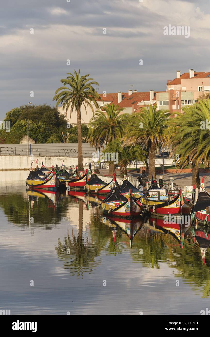 popular with tourists colorful Moliceiros boat moored along a canal in ...