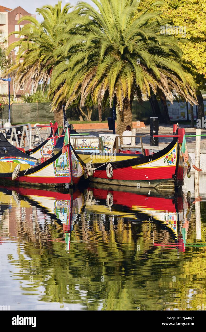 popular with tourists colorful Moliceiros boat moored along a canal in ...