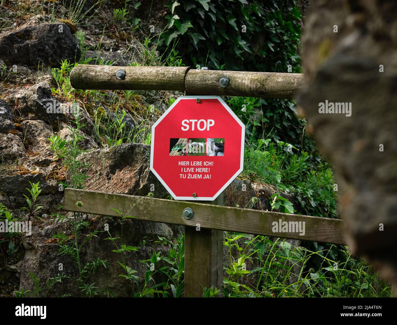 Sign Stop in the wild due to the presence of snakes, I live here! Stock ...