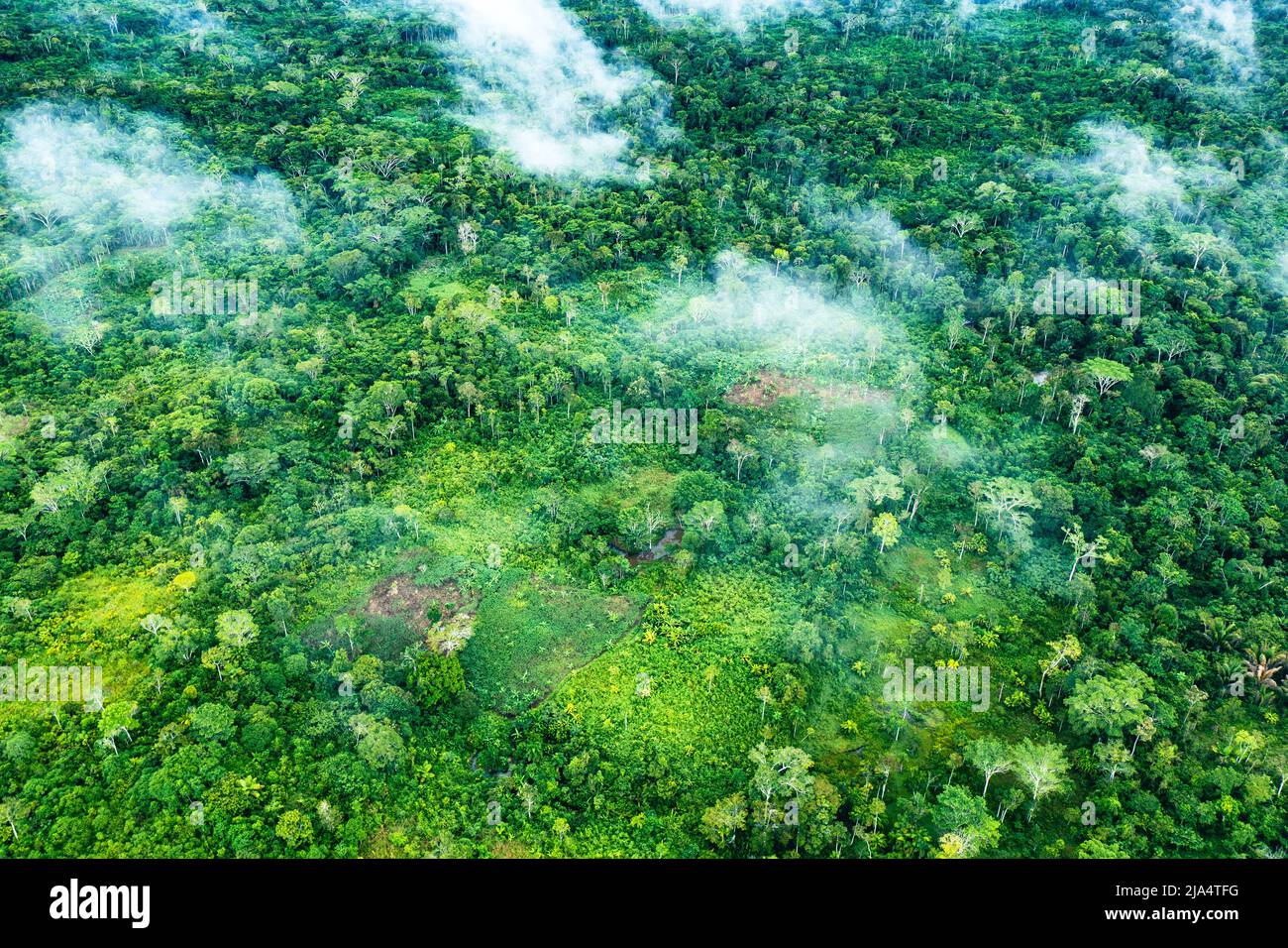 Amazon rainforest aerial hi-res stock photography and images - Alamy