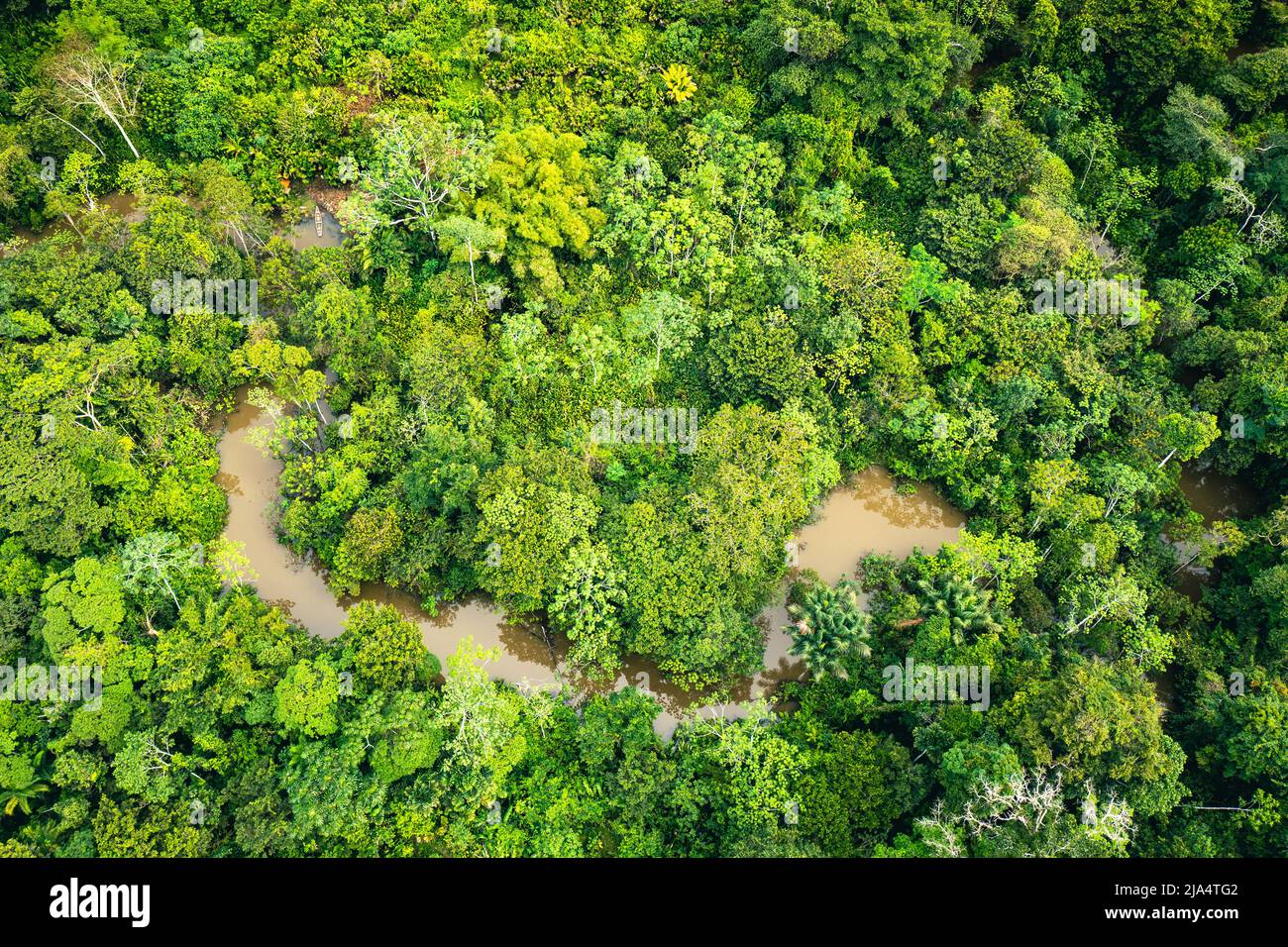 Amazon Rainforest Aerial View. Tropical Green Jungle in Peru, South ...