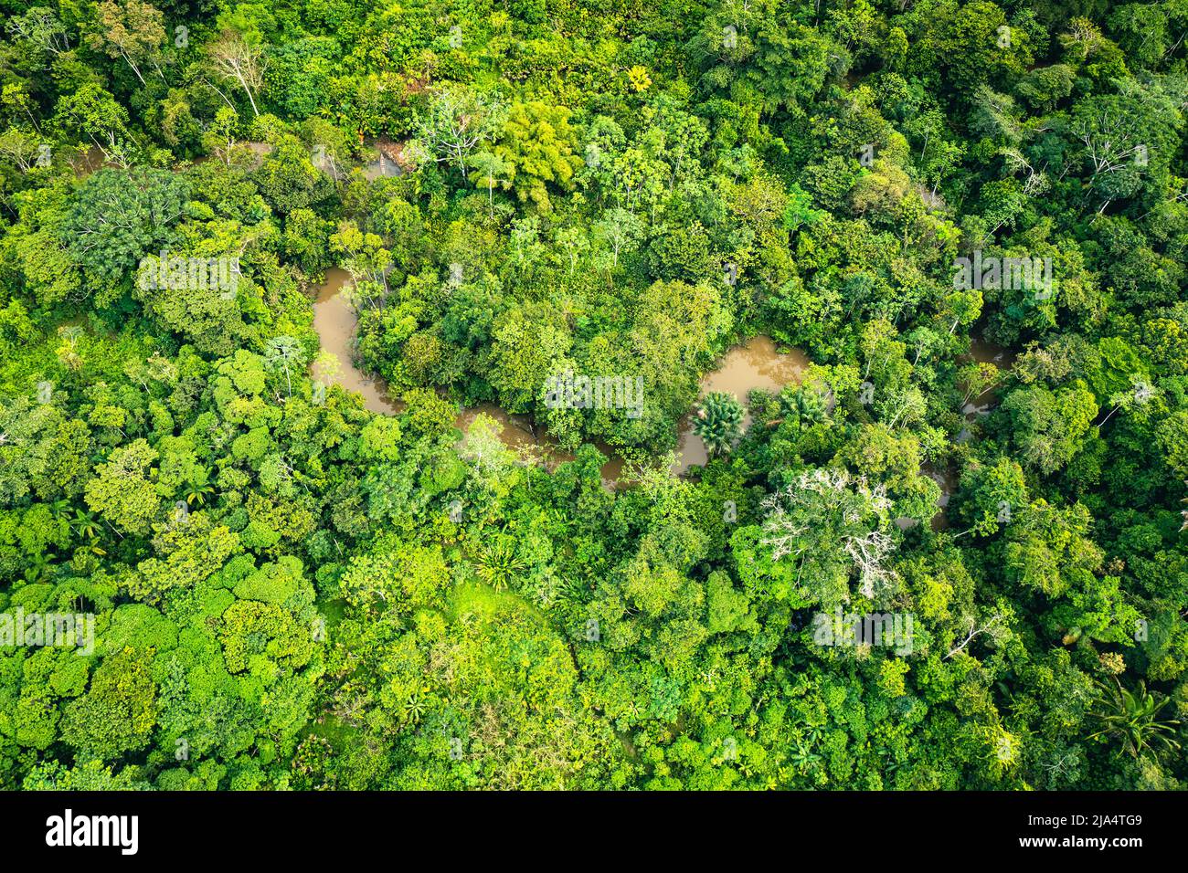 Amazon rainforest aerial hi-res stock photography and images - Alamy