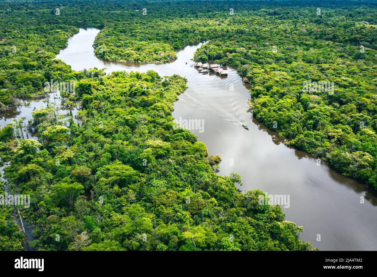 Amazon South America River