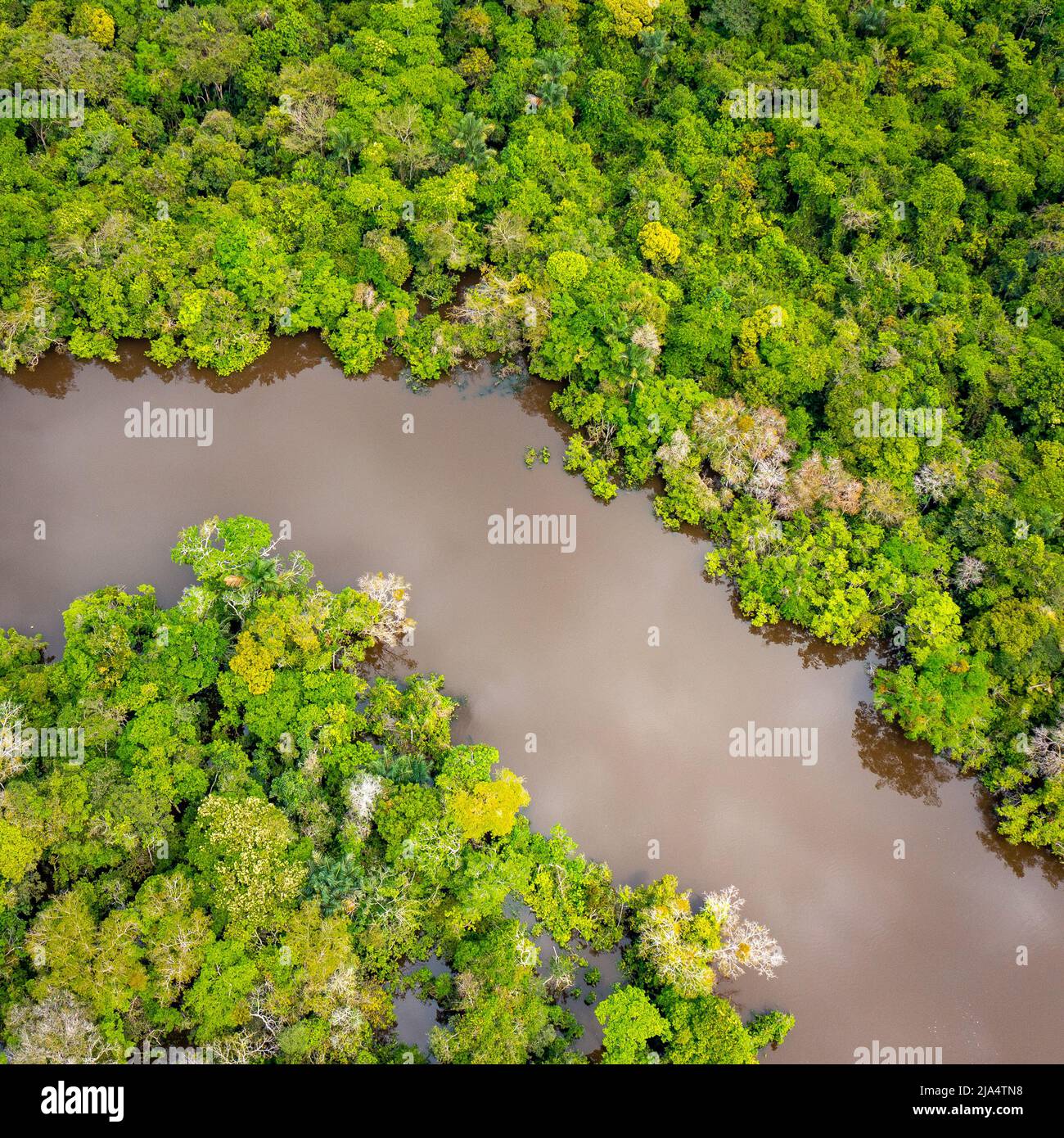Aerial view of Amazon rainforest in Peru, South America. Green forest ...
