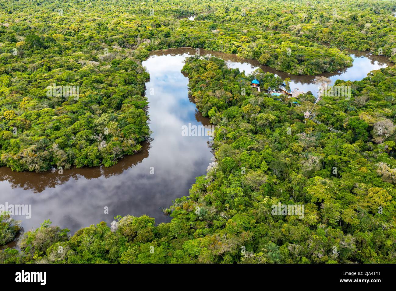 Aerial view of Amazon rainforest in Peru, South America. Green forest ...