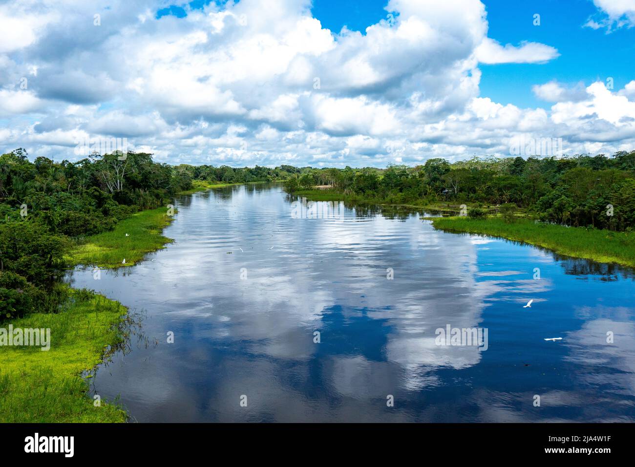 Peru. Aerial view of Rio Yanayacu. Top View of Amazon Rainforest, near ...