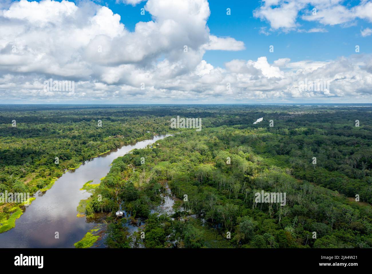 Peru. Aerial view of Rio Yanayacu. Top View of Amazon Rainforest, near ...