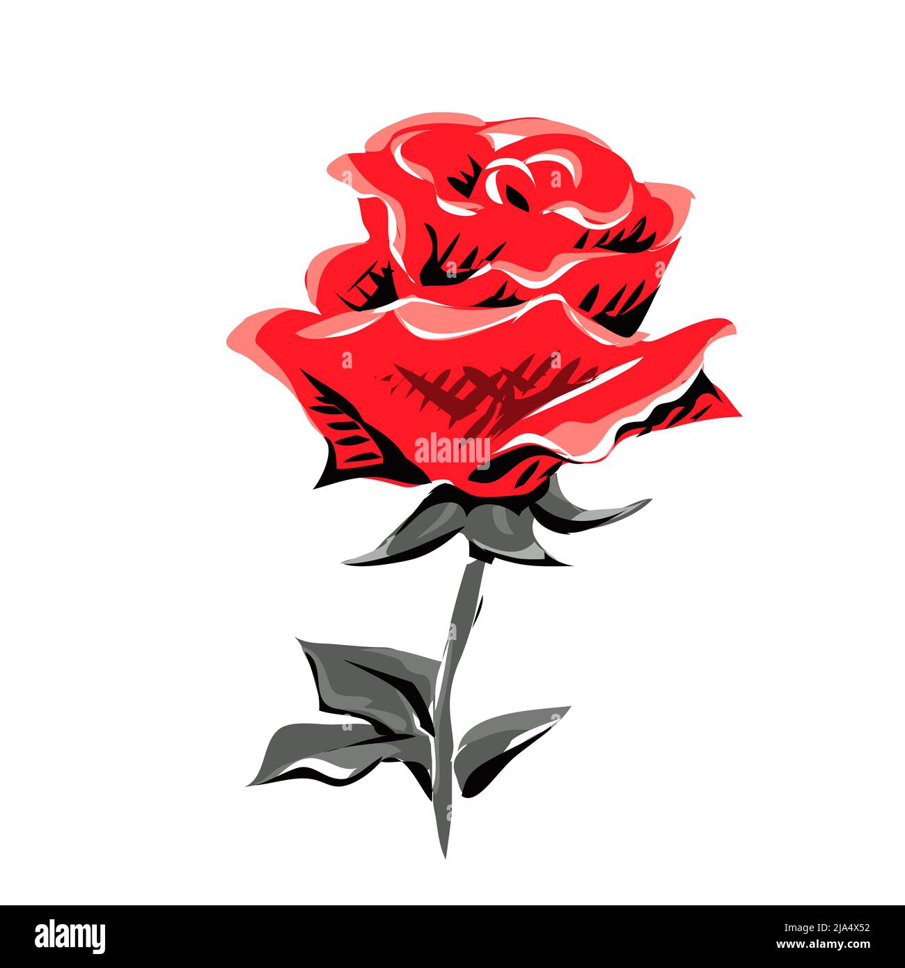 Drawing red rose. Beautiful flower. Symbol of love. Decorative element ...