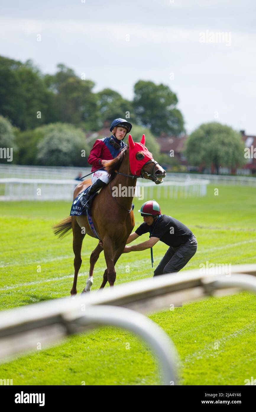Jockey Tom Marquand on Lilac Road at York Races Stock Photo - Alamy