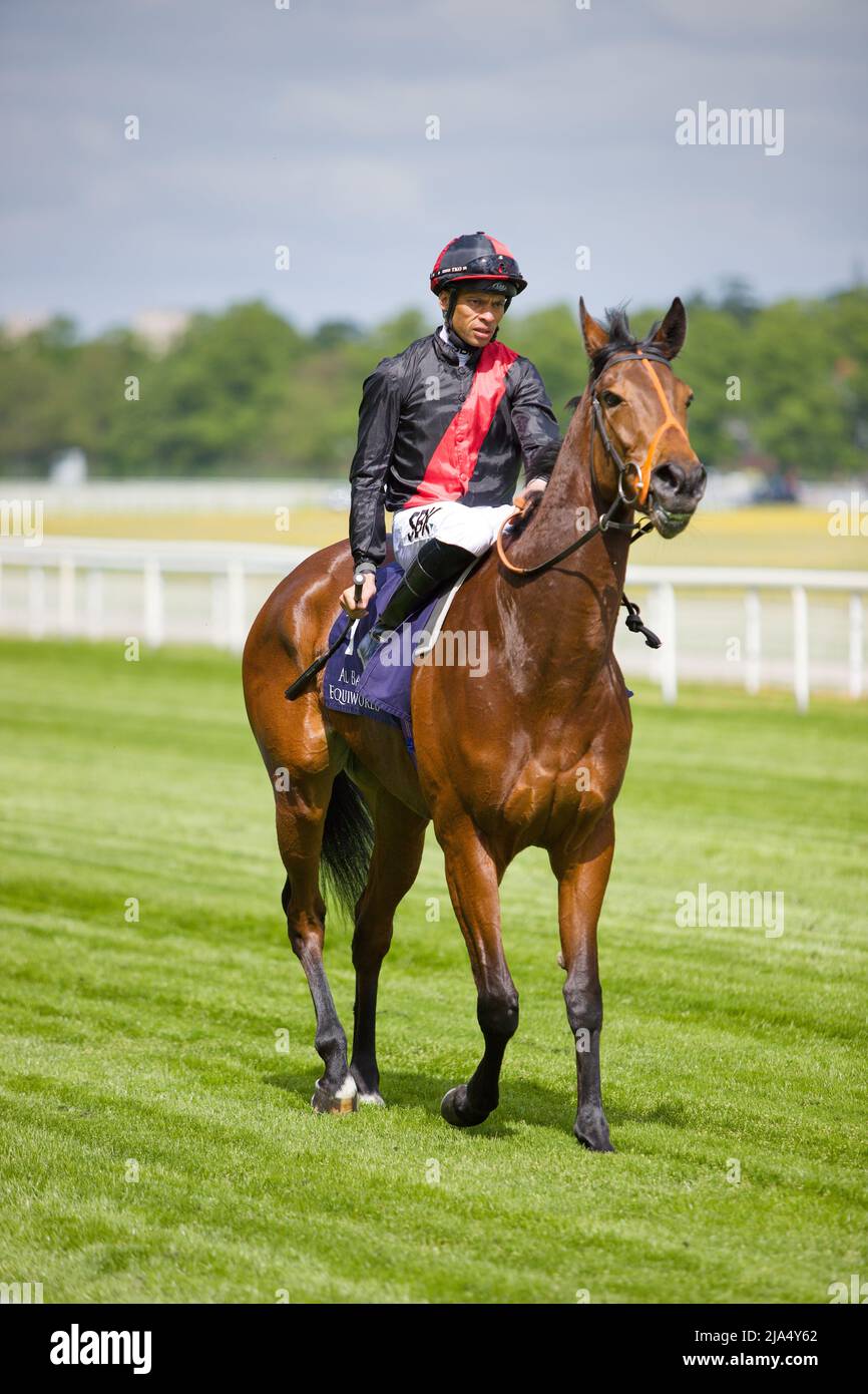 Jockey Sean Levey on Aristia Stock Photo - Alamy