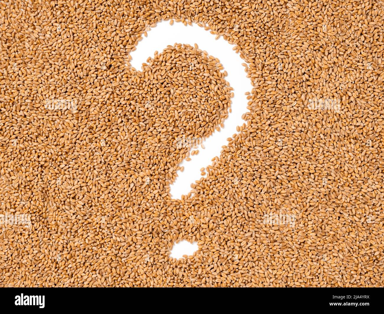 Question mark in wheat grains. Concept of global food scarcity, famine ...