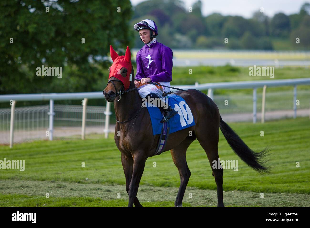 Jockey Rossa Ryan on Queen Olly at York Races Stock Photo - Alamy