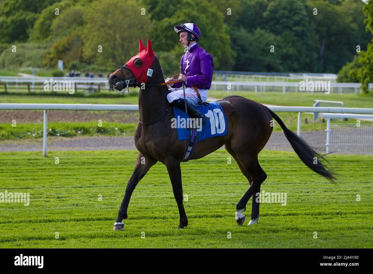 Jockey Rossa Ryan on Queen Olly at York Races Stock Photo - Alamy