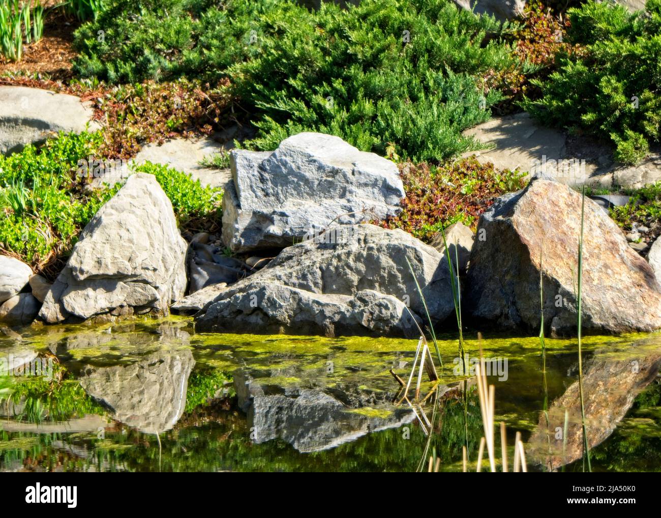Calgary zoo alberta hi-res stock photography and images - Alamy